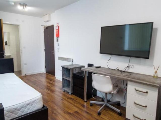 Studio to rent