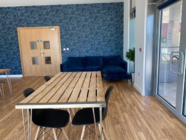 Studio to rent