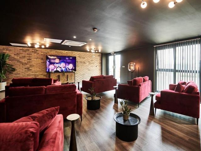 Studio to rent