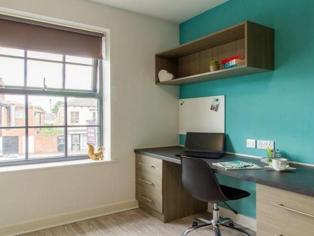 Studio to rent