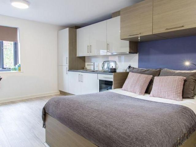 Studio to rent