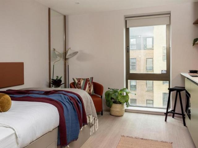 Studio to rent