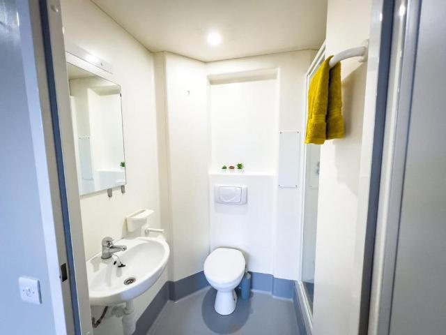 Studio to rent