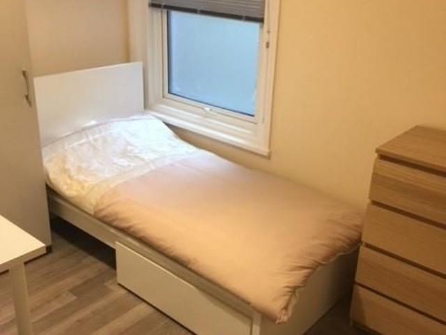 Studio to rent