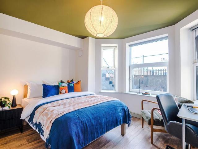 Studio to rent