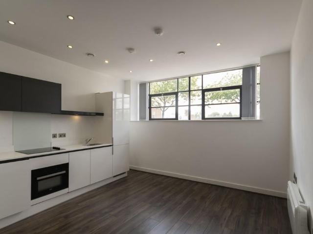 Studio to rent