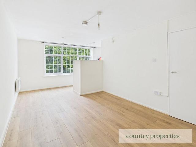 Studio to rent