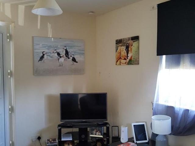 Studio to rent