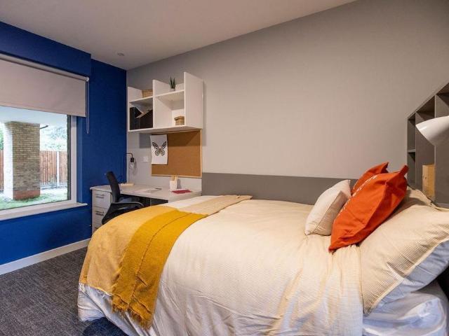 Studio to rent