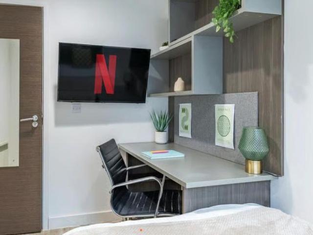 Studio to rent