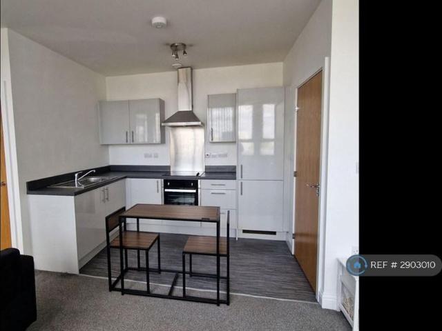 Studio to rent
