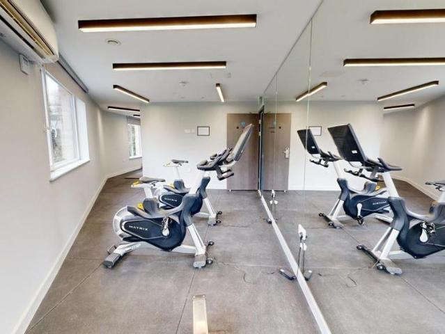Studio to rent
