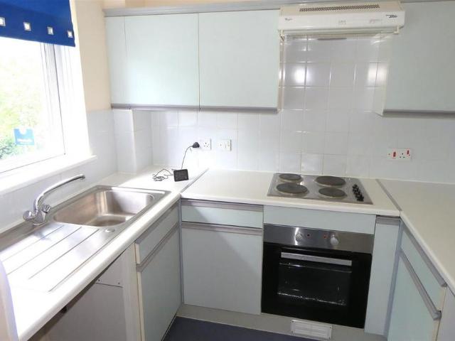Studio to rent
