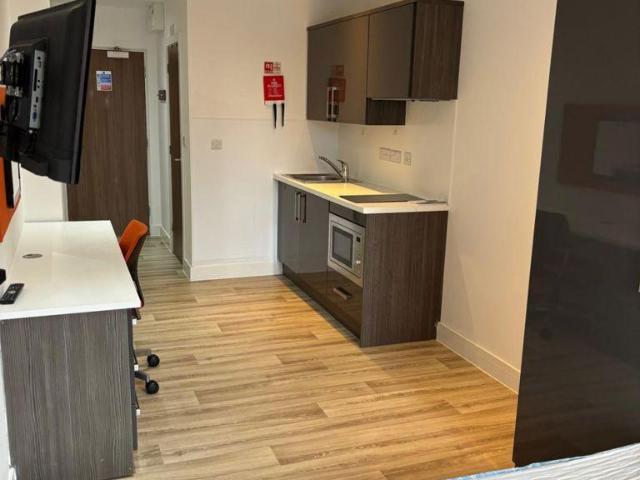 Studio to rent
