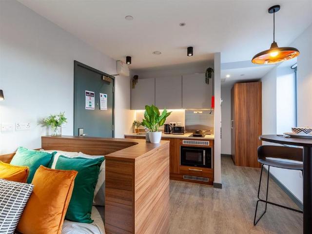 Studio to rent