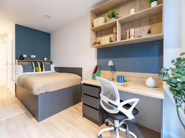Studio to rent