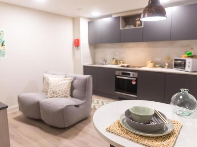 Studio to rent