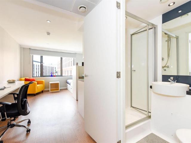 Studio to rent