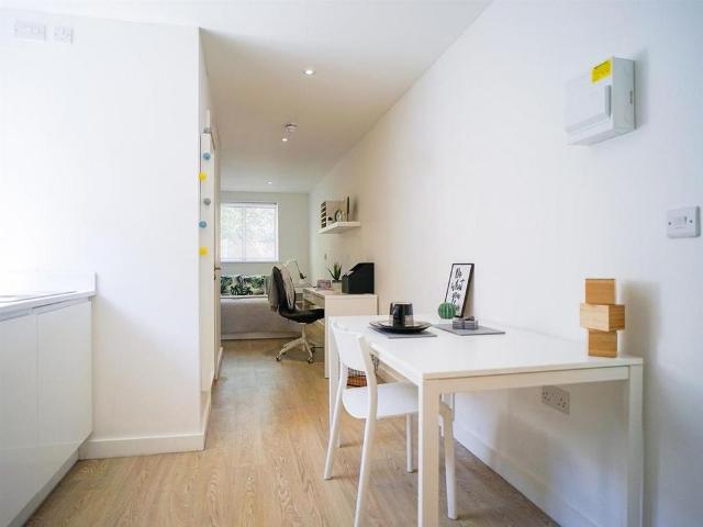 Studio to rent