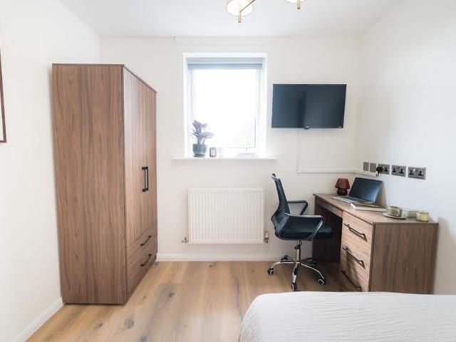 Studio to rent