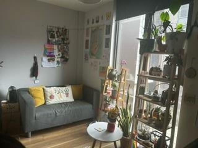 Studio to rent