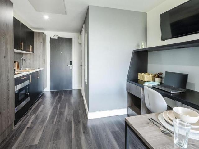 Studio to rent