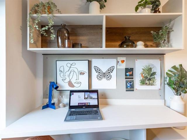 Studio to rent