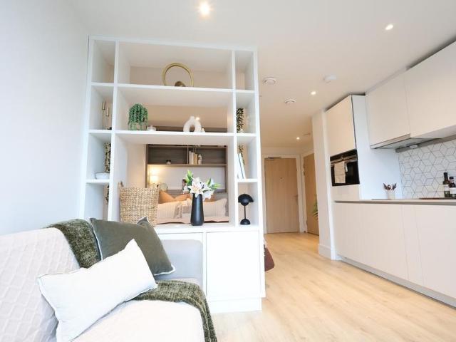Studio to rent