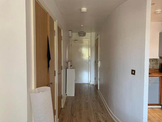 Studio to rent
