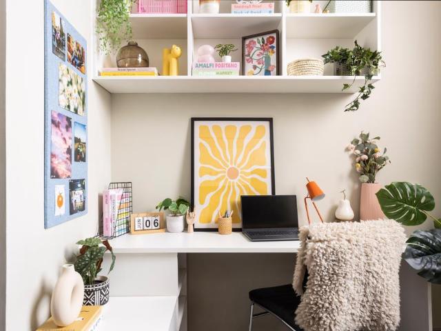 Studio to rent