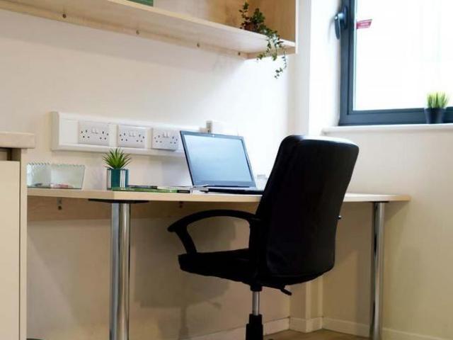 Studio to rent