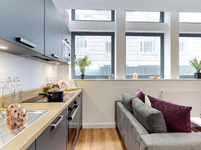 Studio to rent