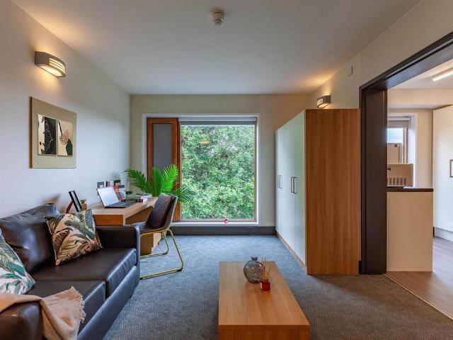 Studio to rent
