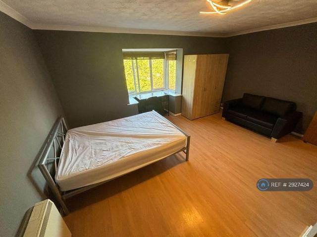 Studio to rent