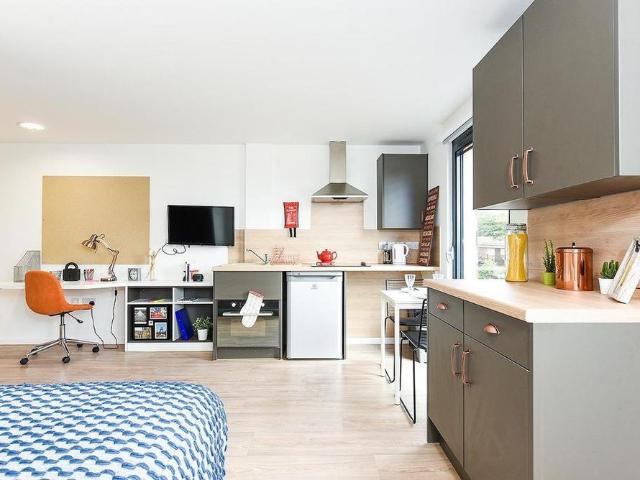 Studio to rent