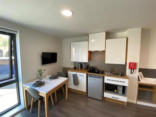 Studio to rent