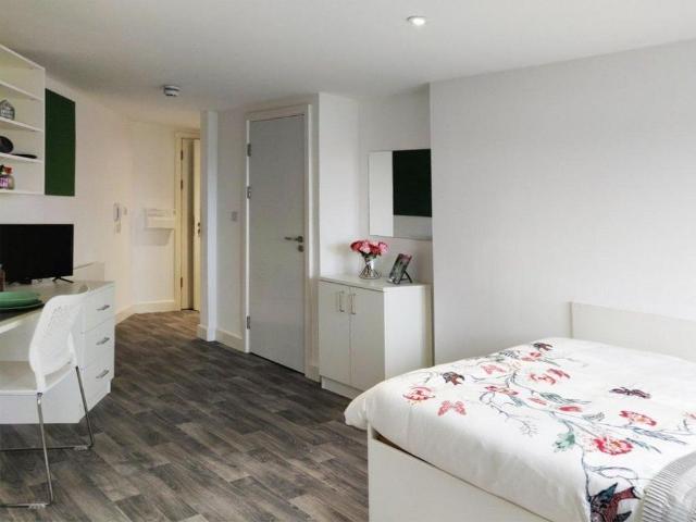 Studio to rent