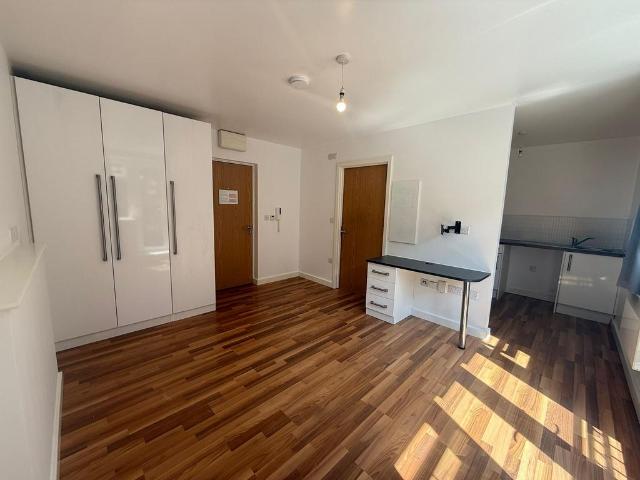 Studio to rent