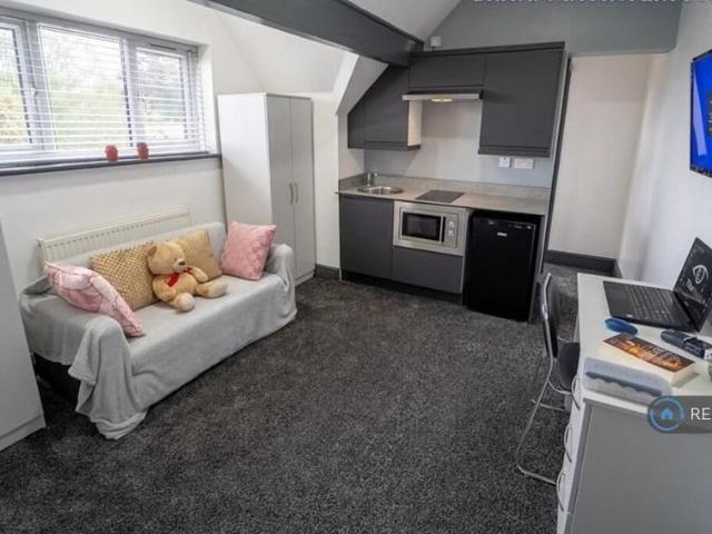 Studio to rent