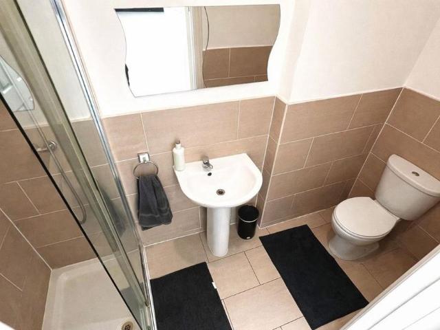 Studio to rent