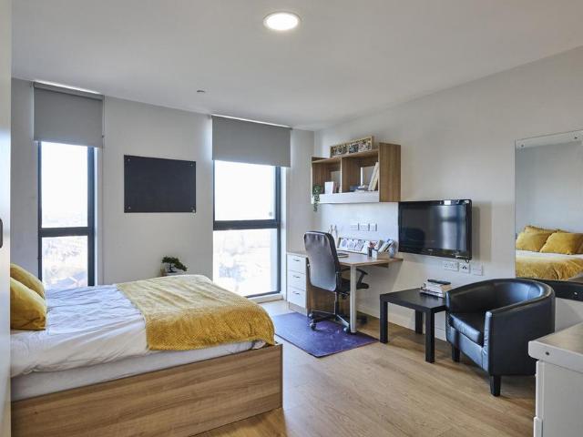 Studio to rent