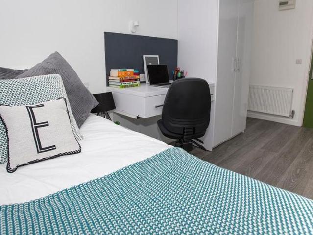 Studio to rent