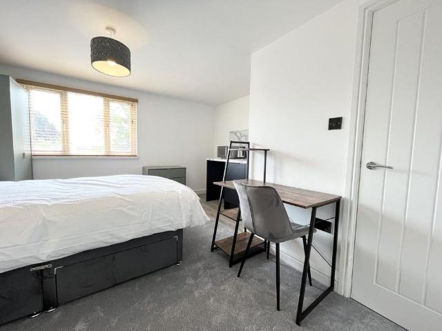 Studio to rent