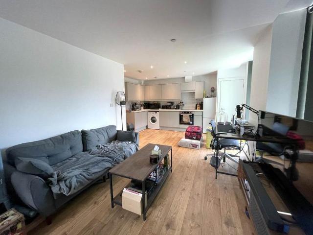 Studio to rent