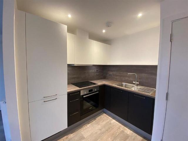 Studio to rent