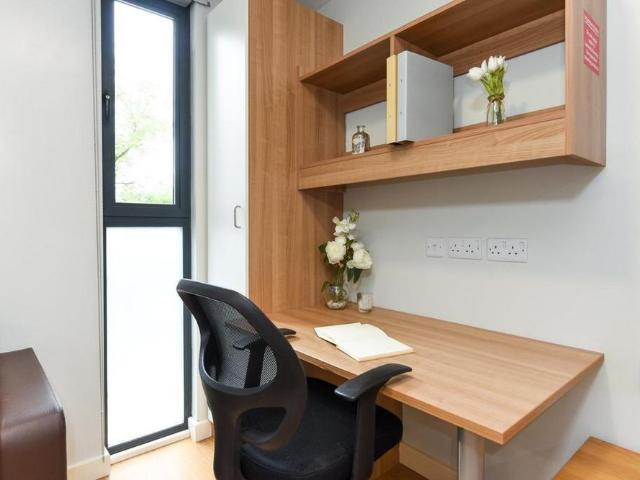 Studio to rent