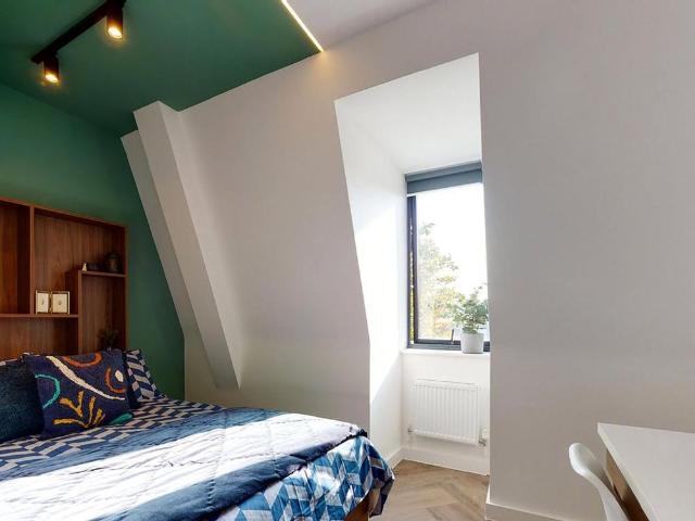 Studio to rent