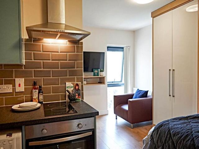 Studio to rent