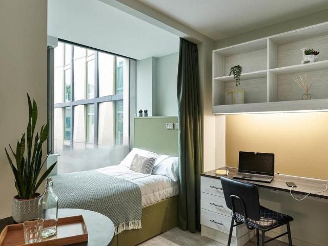 Studio to rent