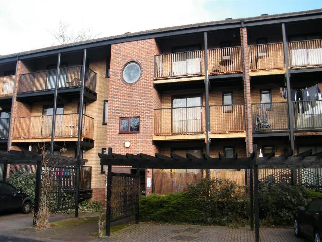 Studio to rent